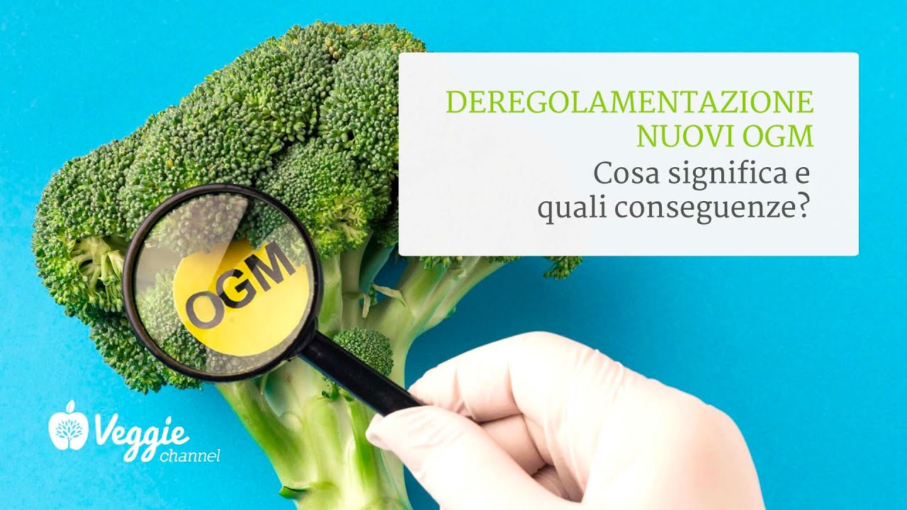 Deregolamentazione nuovi OGM, cosa significa e quali conseguenze? - YouTube