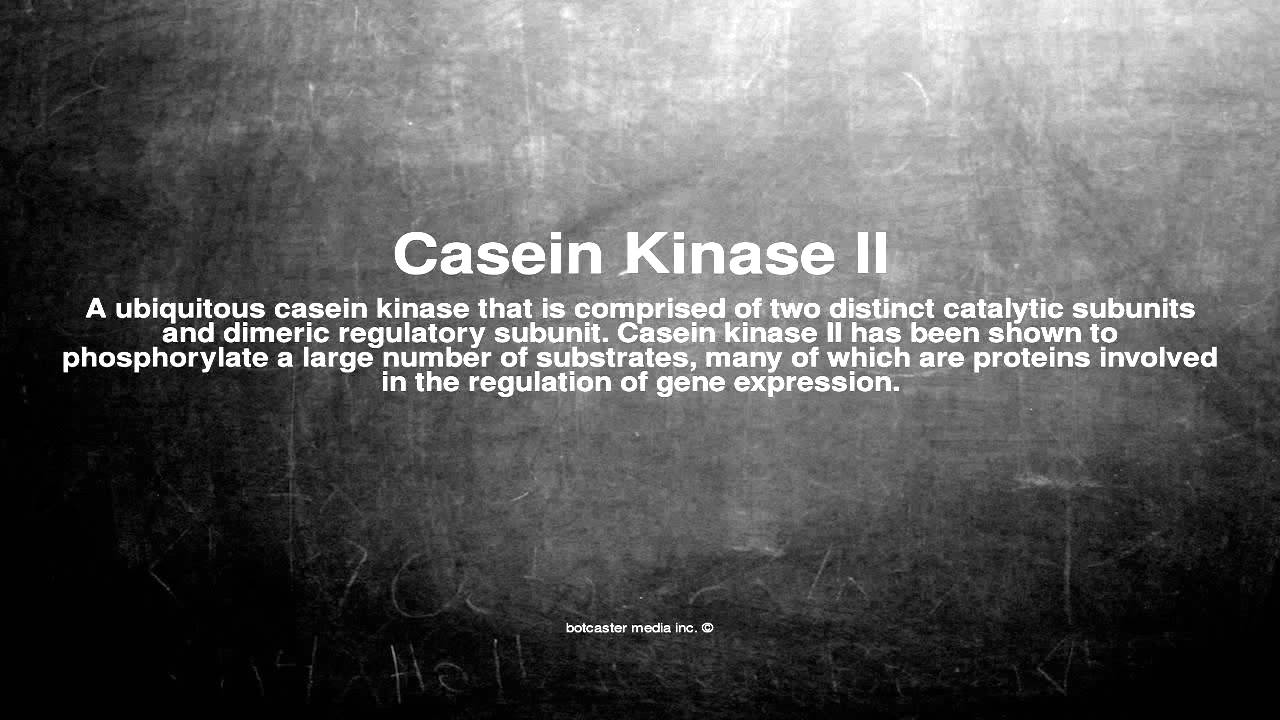 Medical vocabulary: What does Casein Kinase II mean - YouTube