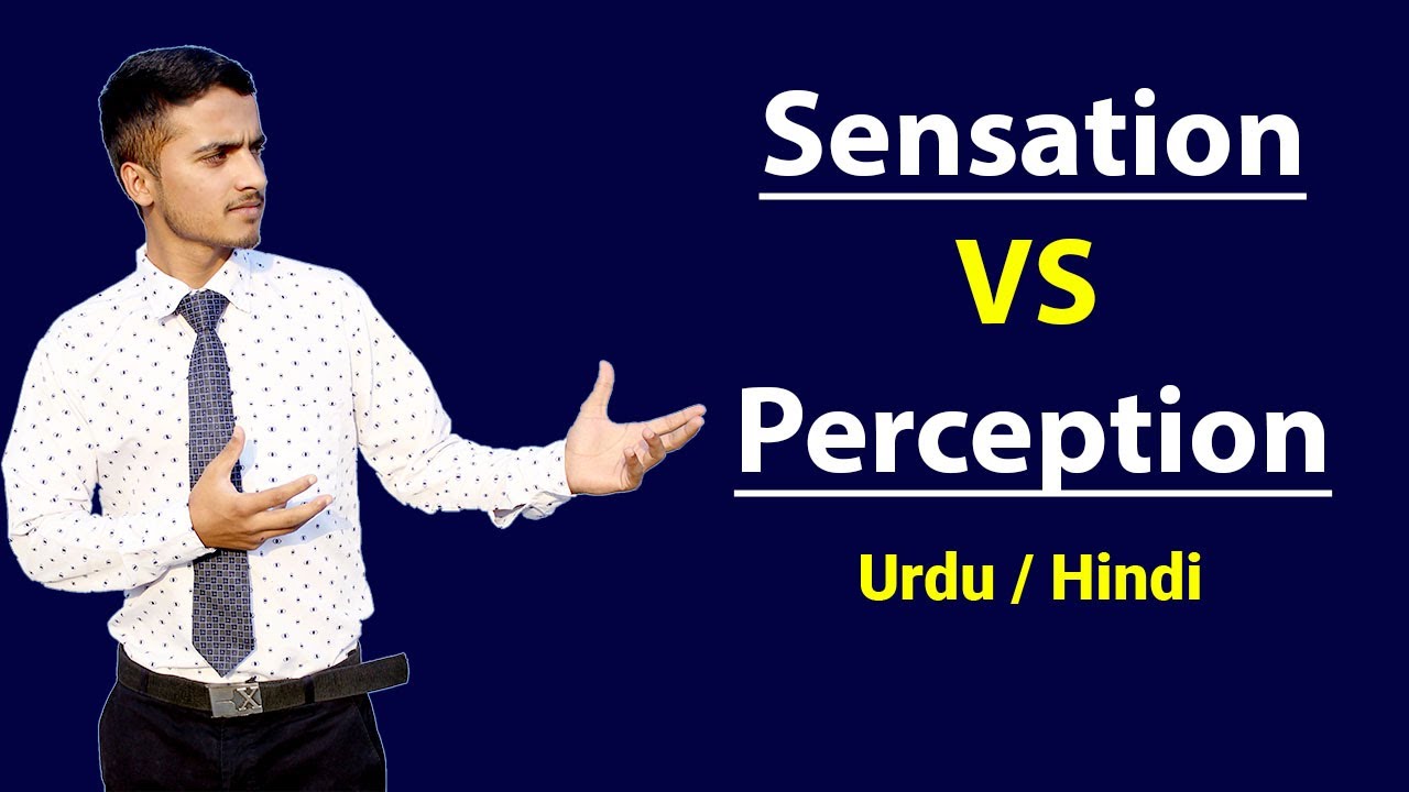 Difference Between Sensation Perception Urdu Hindi YouTube difference-between-sensation-perception-urdu-hindi-youtube