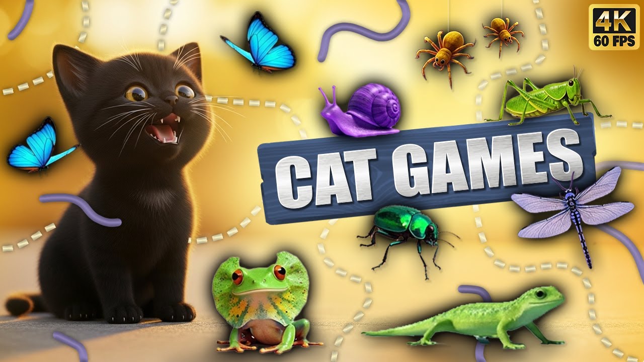 CAT GAMES 🐾3D Game for Cats | Video for Cats – Ultimate CAT TV #4😻 ...