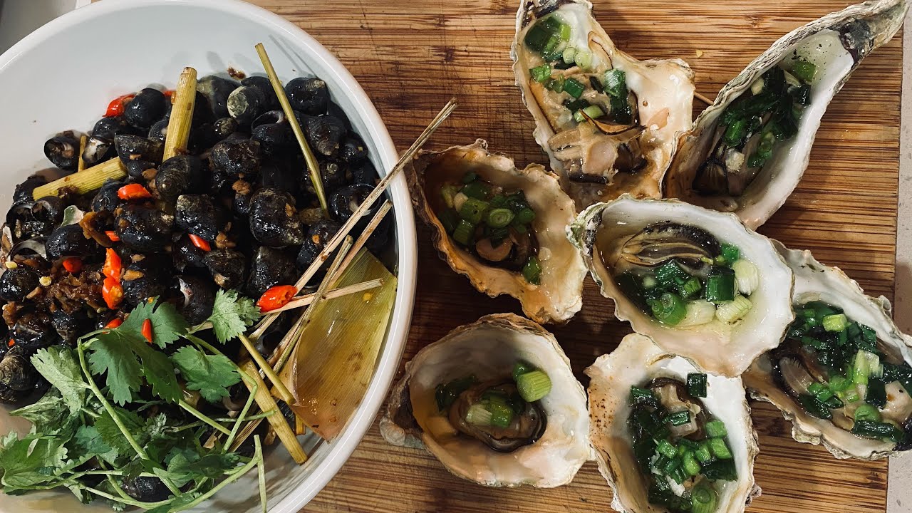 Steam Live sea snails and grilled Oyster - Oc xao va so nuong - YouTube
