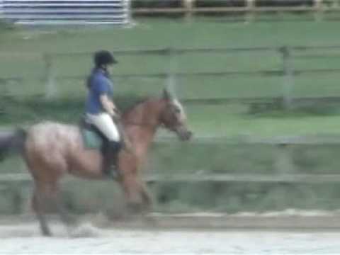 Shrek Autumn 2009 - Part 2 - YouTube