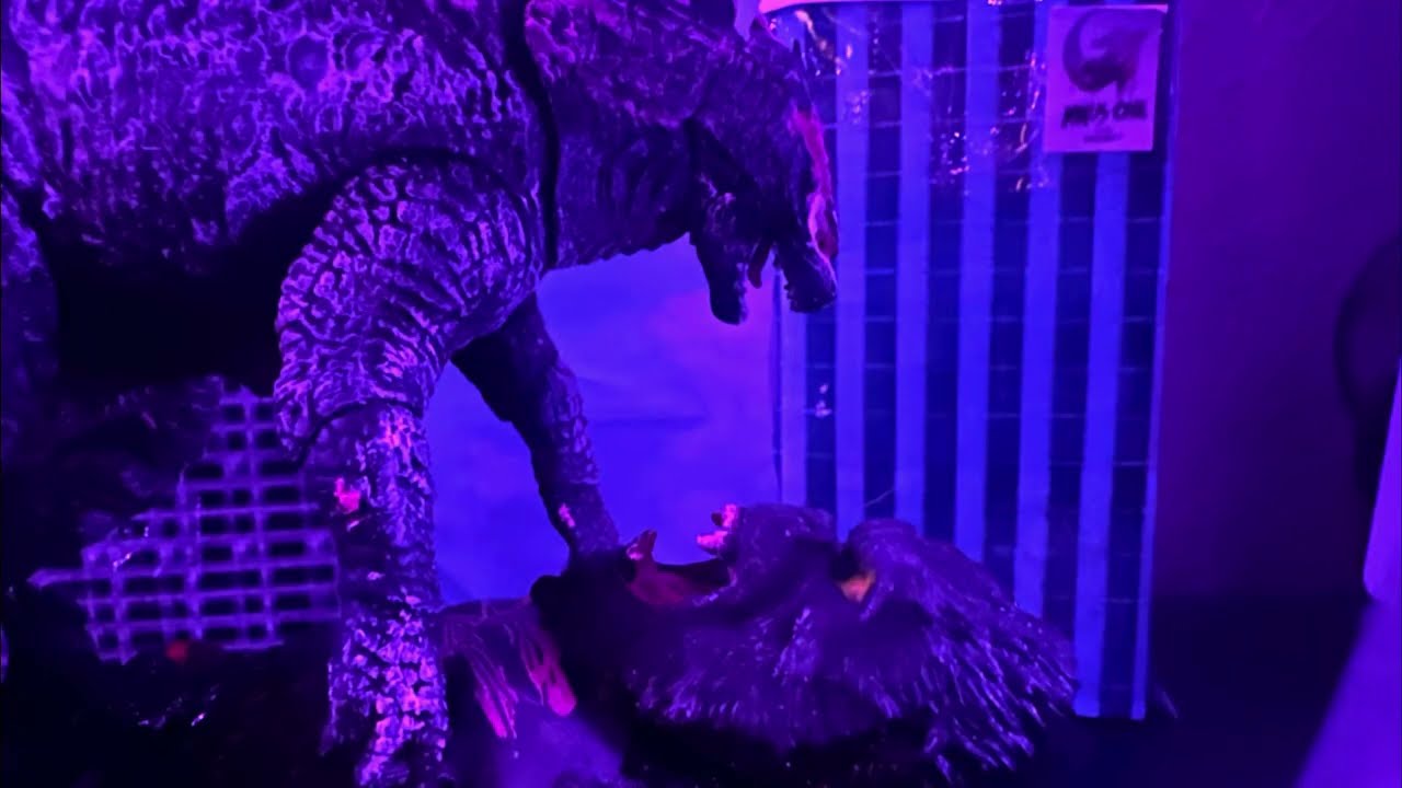 EvoGoji vs Kong | Stopmotion Battle - YouTube