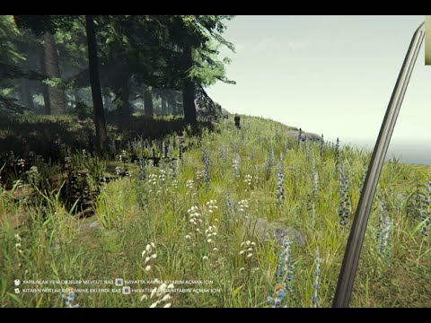 THE FOREST OYUN İÇİ HARİTA NEREDEN BULABİLİRİZ..