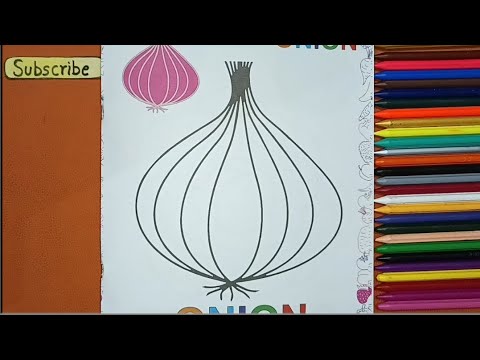 Colouring Of Onion 🧅 - YouTube