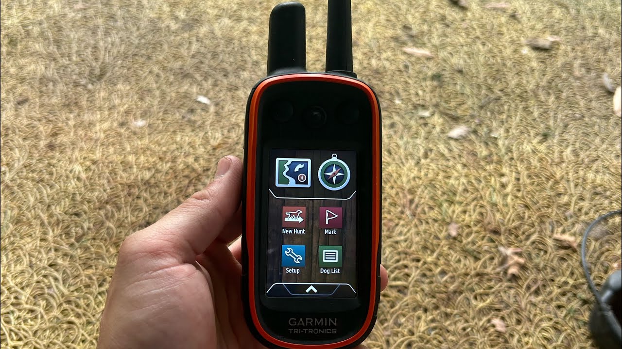How to SHOCK and BEEP on the Garmin Alpha 100 - YouTube