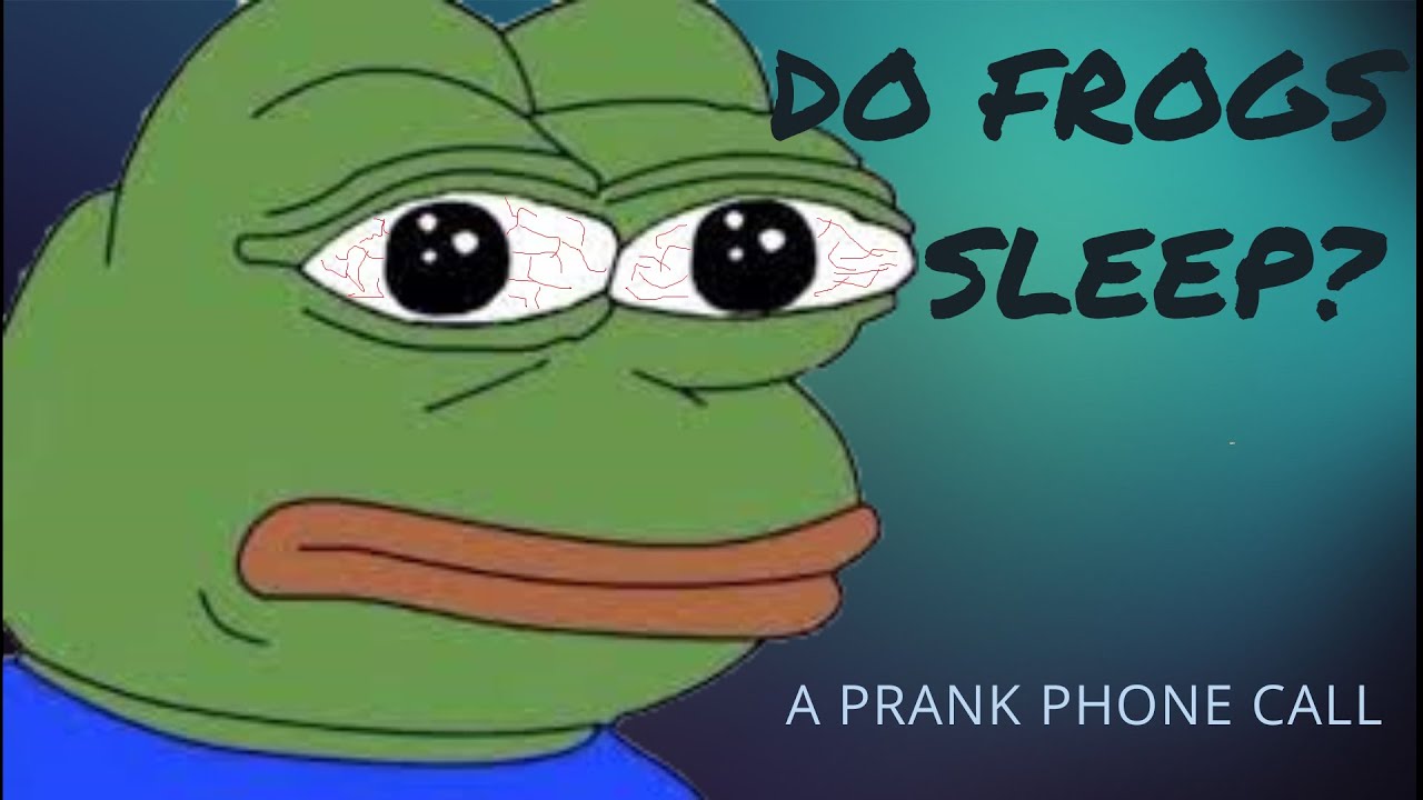DO FROGS SLEEP : PRANK PHONE CALL - YouTube