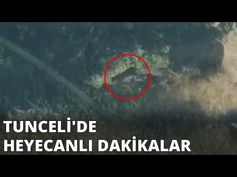 Tunceli'de heyecanlı dakikalar... 'Anadolu Parsı' görüntülendi iddiası
