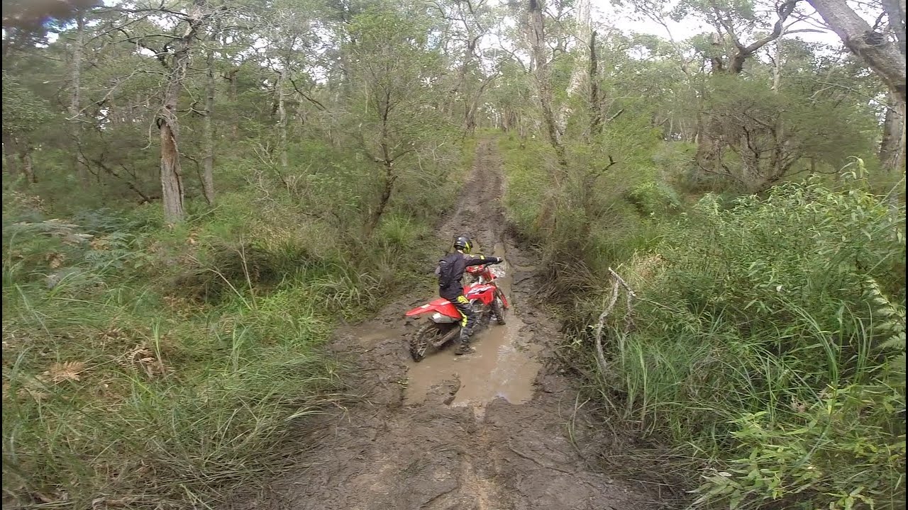 Bush Activities | Episode 2 - YouTube