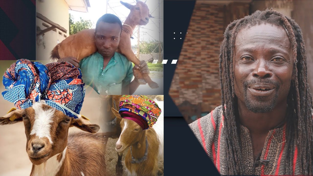 Herrrr! Suro Bibini Feɑr Black man, Goat (Aponkye) with Duku - YouTube