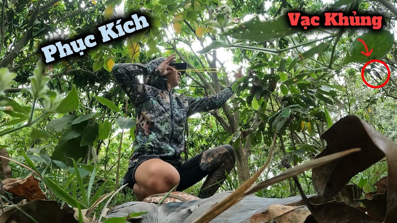 Tuấn Nhỏ || Cùng Team A7 Đi Săn Phục Kích Những Vườn Vạc Cực Khủng ...