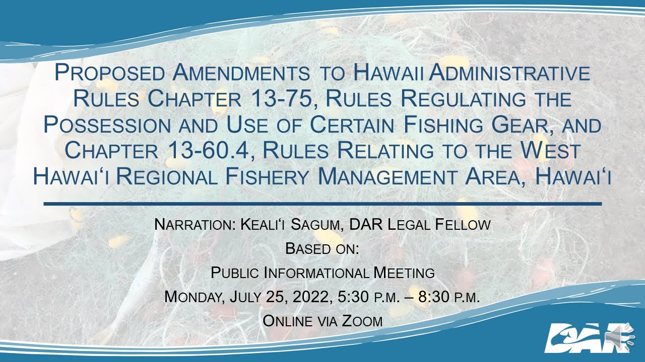 Informational Presentation on Proposed Lay Net Amendments - Lay Net ...