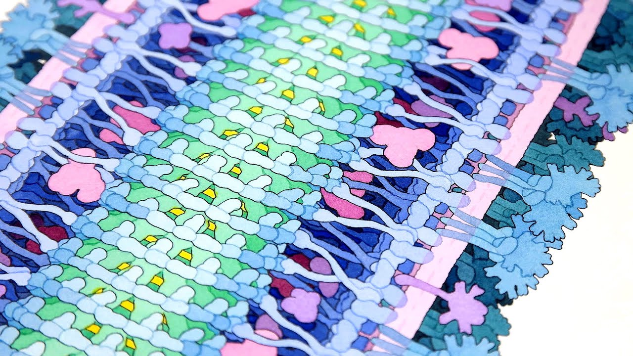 Pdb 101 Molecule Of The Month Adenovirus | Molecule Of The Month