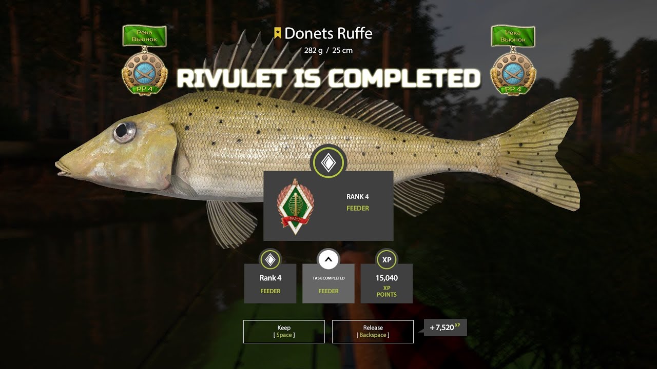 Russian Fishing 4 - Donets Ruffe Trophy 282g - Winding Rivulet - YouTube