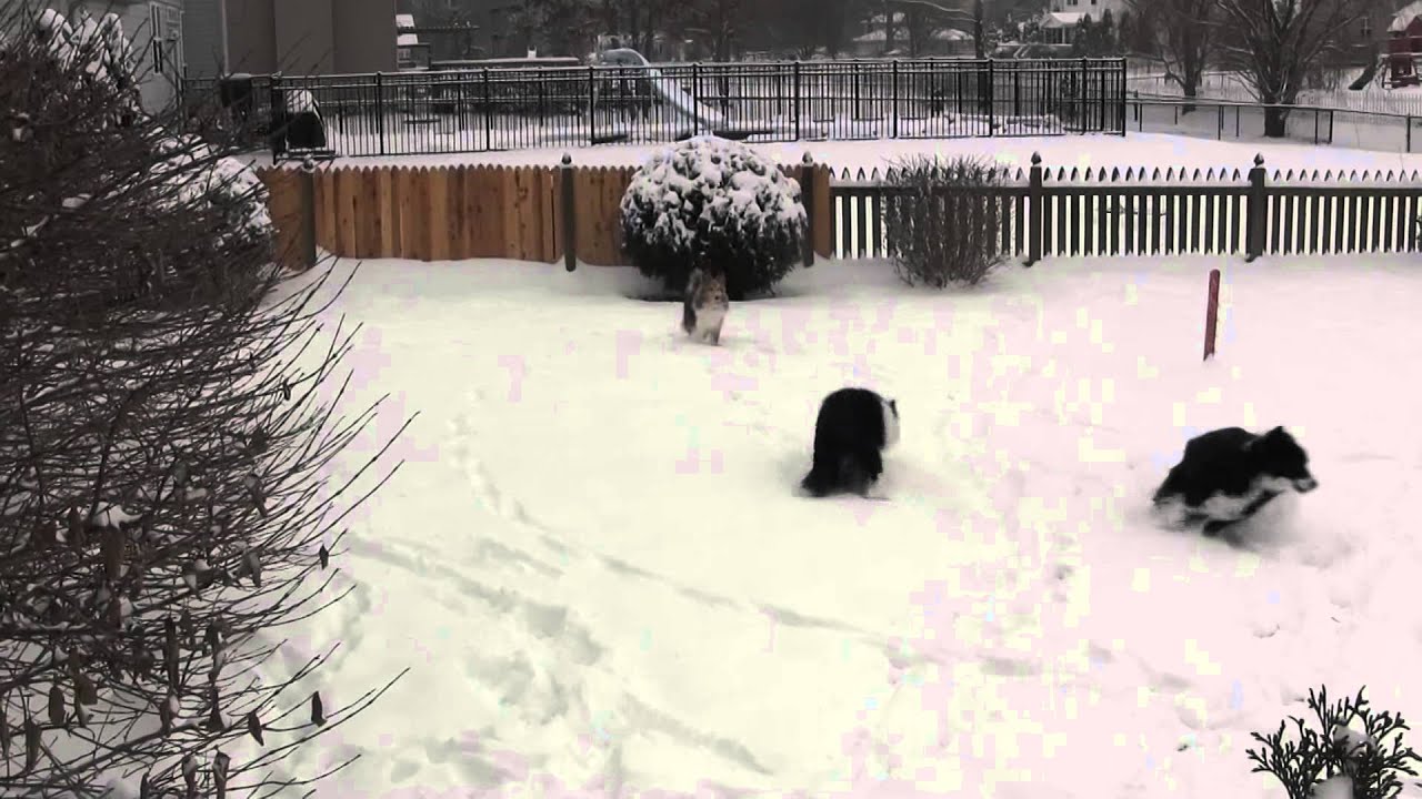 Peyton 1st Snow of 2013 - YouTube