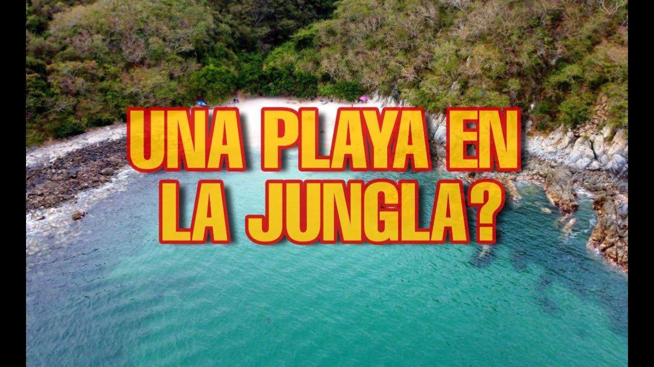LA PLAYA MAS TRANQUILA / PALITO VERDE - YouTube