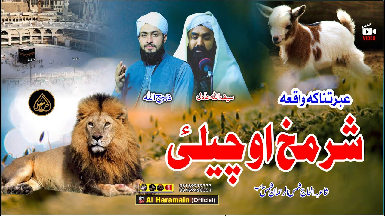Saifullah Adil & Zabihullah Madani || Pashto HD 2025 Best Waqia || 2025 ...