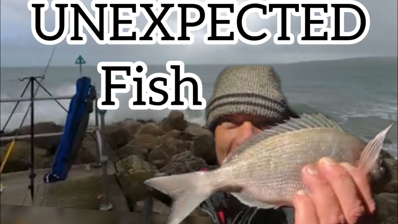 SEA FISHING THE SURF - sandbanks on the 🐟- - YouTube