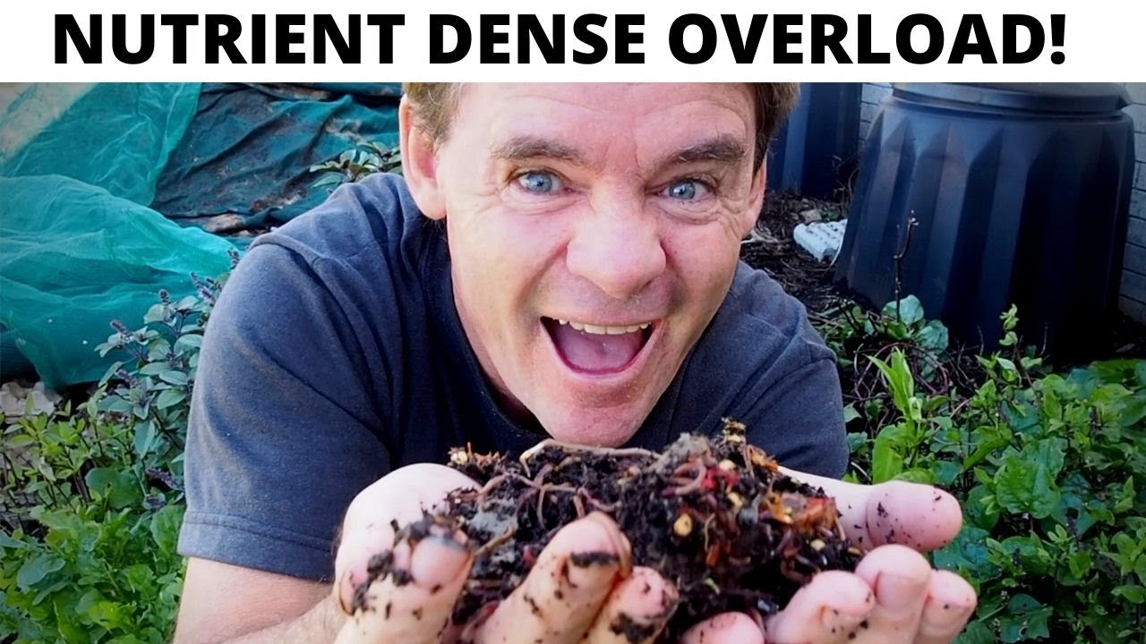 What Happens When You Feed Your Worms Coffee Cardboard? - YouTube