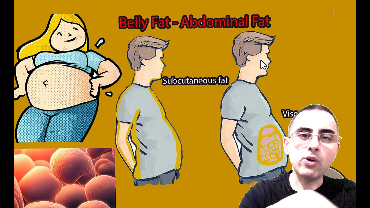 Belly Fat Explained, Understanding Visceral vs. Subcutaneous Fat - YouTube
