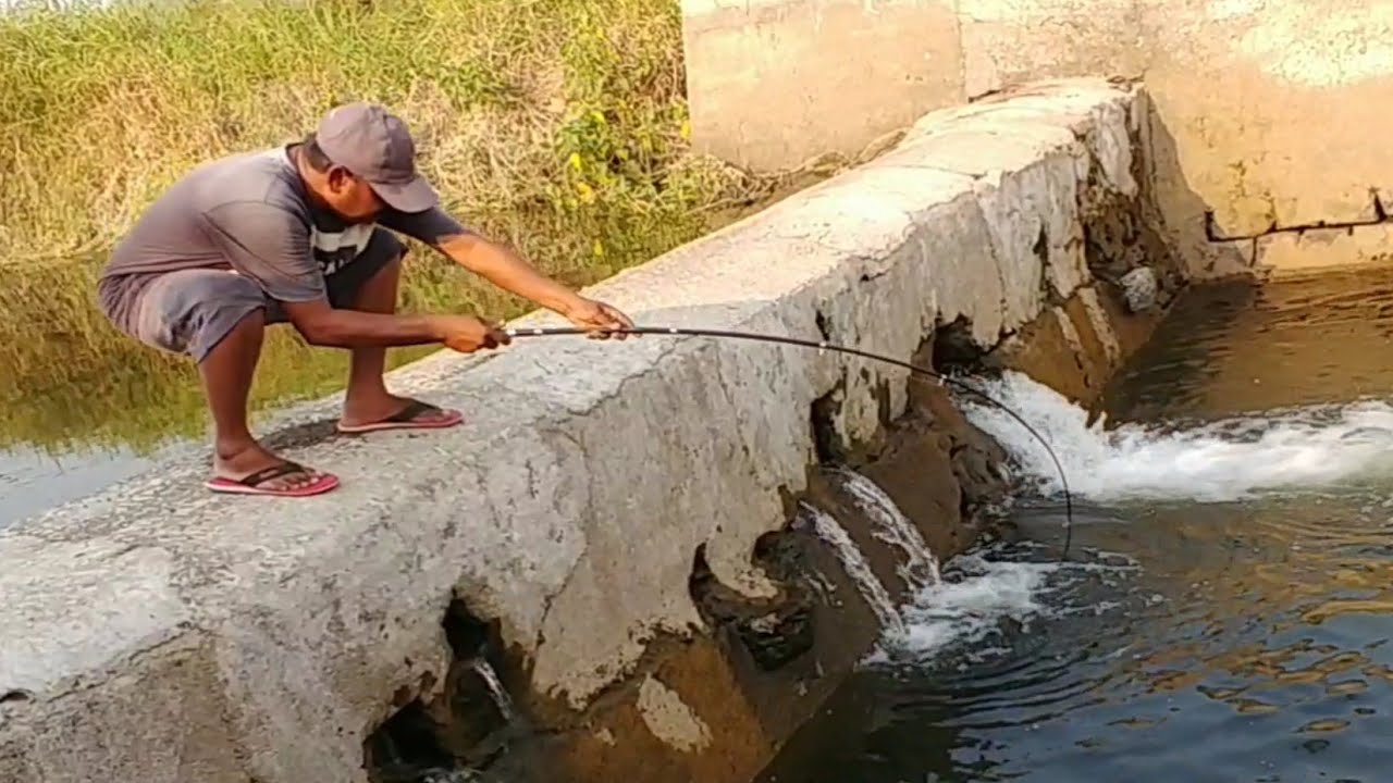 Fish hunting|Big baam fish Catching|in Village - YouTube
