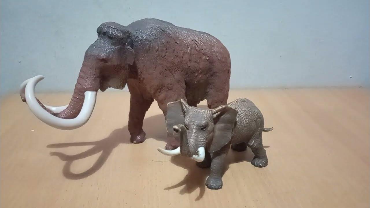 Wooly Mammoth and African Bush Elephant comparison - YouTube