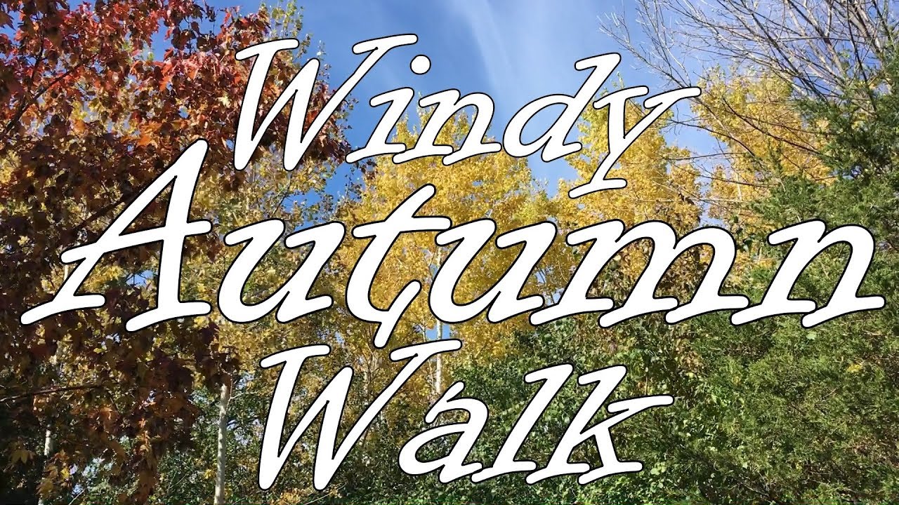 Windy Autumn Walk 🍂 - YouTube