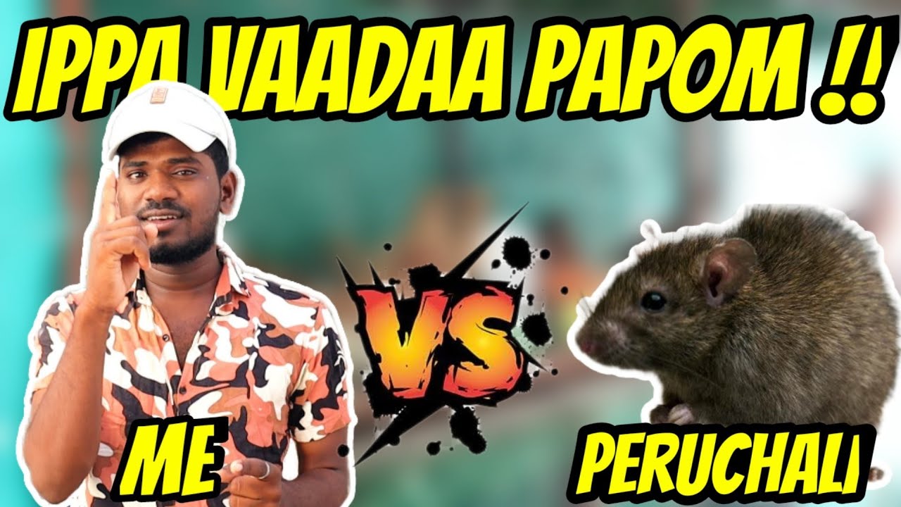 💥😜 Me Vs Peruchali | இனிமேல் பெருச்சாளி-க்கு No Entry | - YouTube