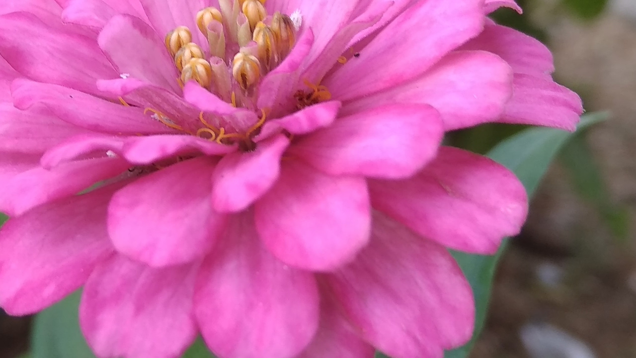 aim to win - YouTube