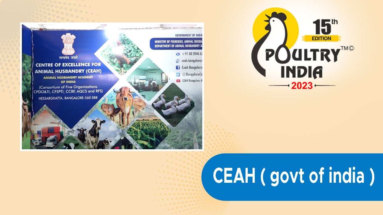Animal Husbandry Academy of India | CEAH | Poultry India 2023 - YouTube