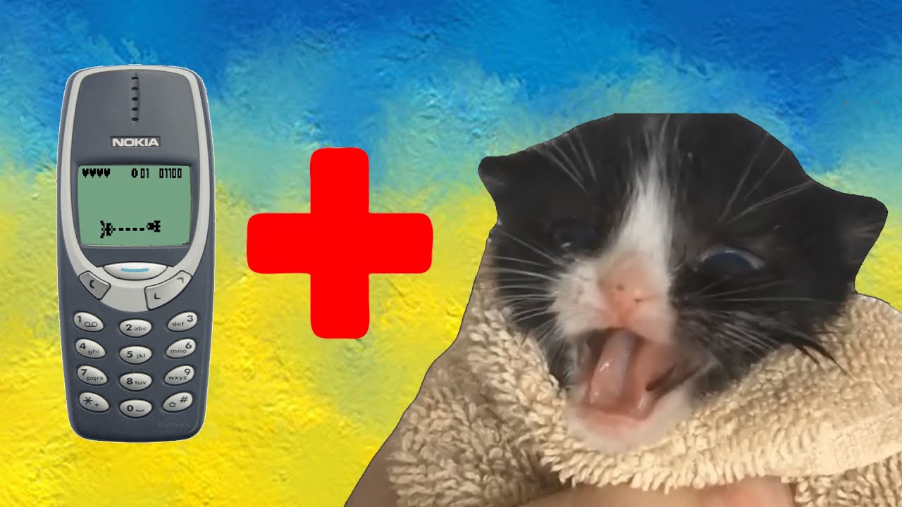 Kitten Meows but Nokia 3310 Ringtones - Cats USA - YouTube