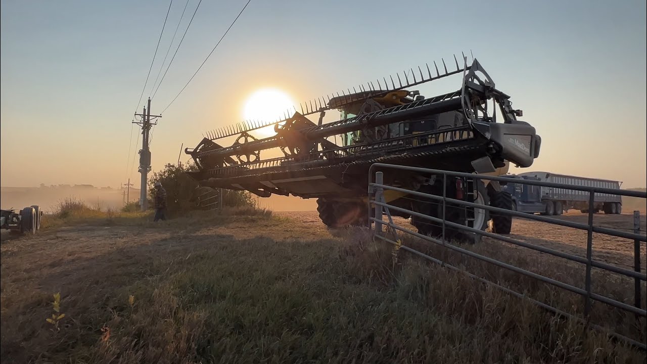 All Beans Are In The Bin! / Eastern Nebraska 2024 Fall Harvest - YouTube