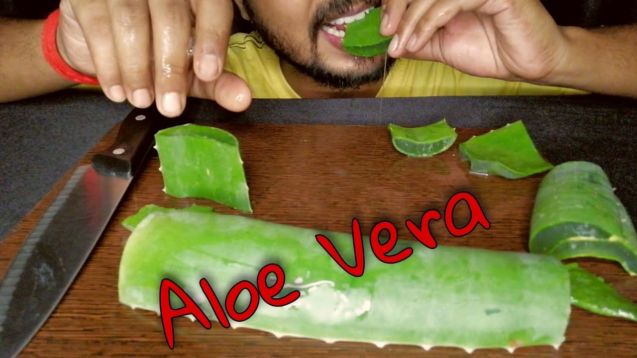 ASMR ALOE VERA EATING | ASMR ALOE VERA EATING CHALLENGE | ALOEVERA ...