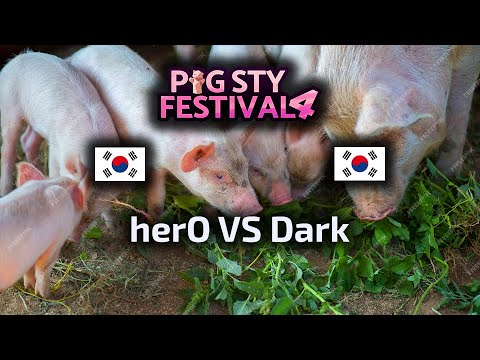herO VS Dark PvZ PIG Sty Festival 4 Ro4 polski komentarz - YouTube