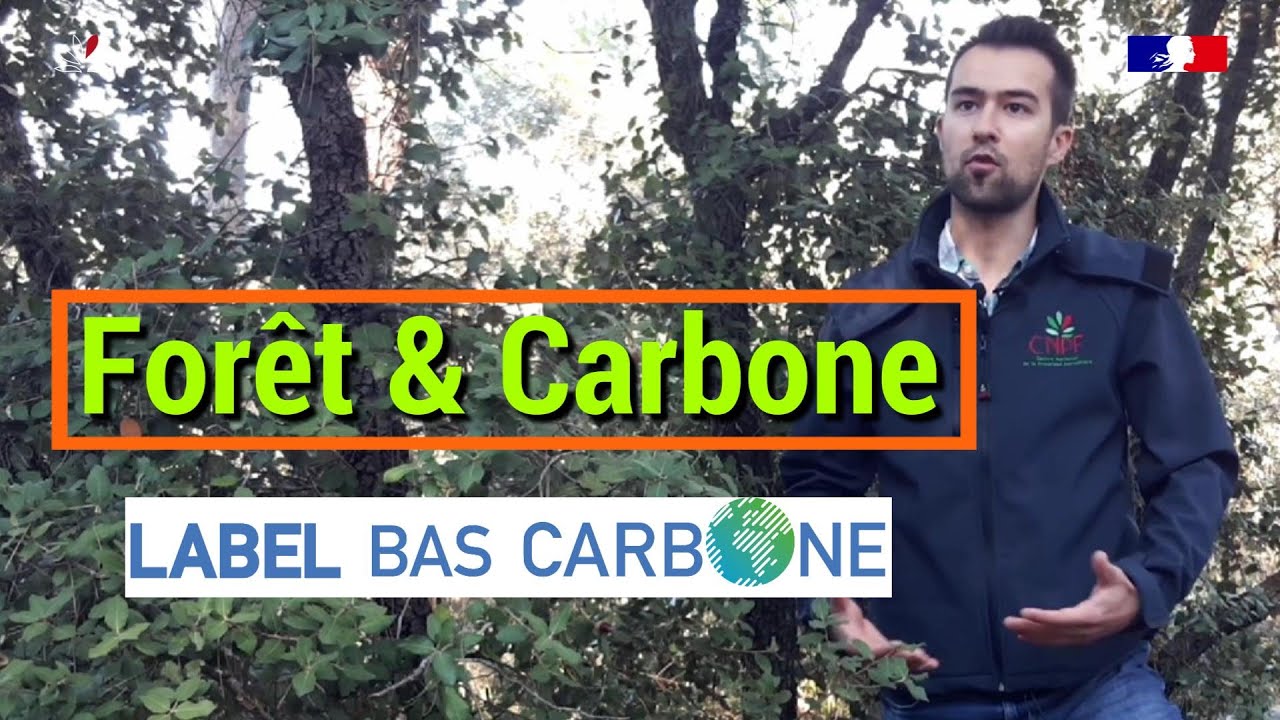 Label Bas-Carbone en forêt : tout savoir avec le CNPF - YouTube