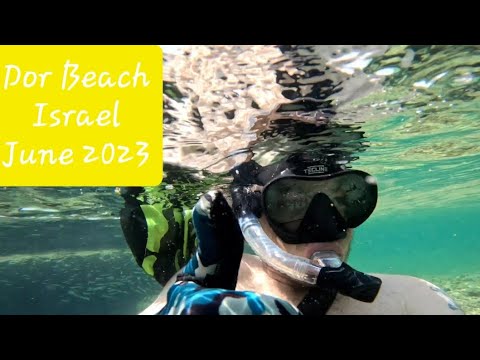 Dor Beach (Tantura) - Israel - חוף דור - June 2023 #Snorkeling with # ...