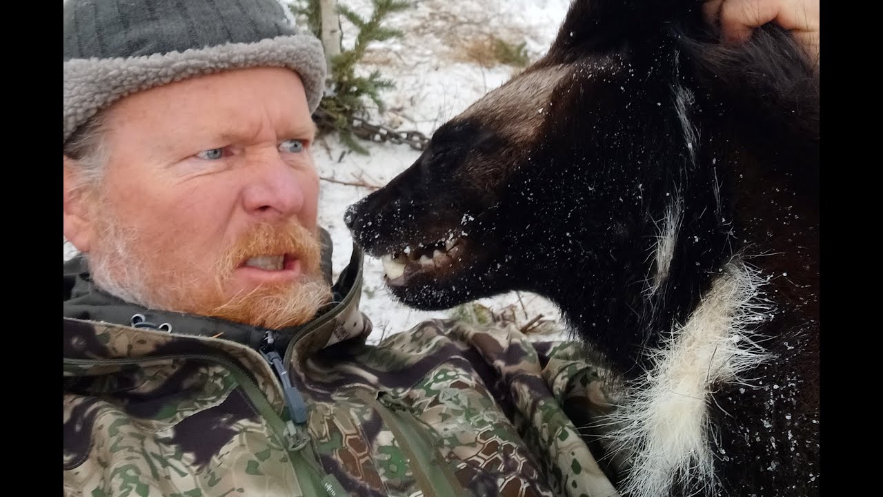 Alaskan Trapping Adventures Ep 2 - YouTube