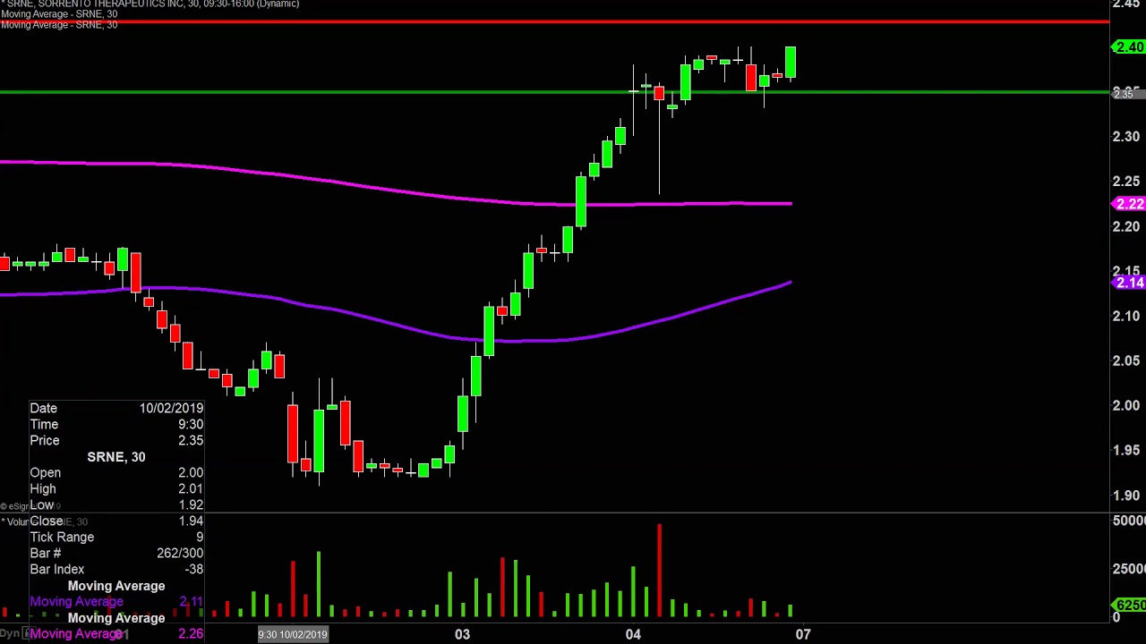 Srne Stock - emsekflol.com