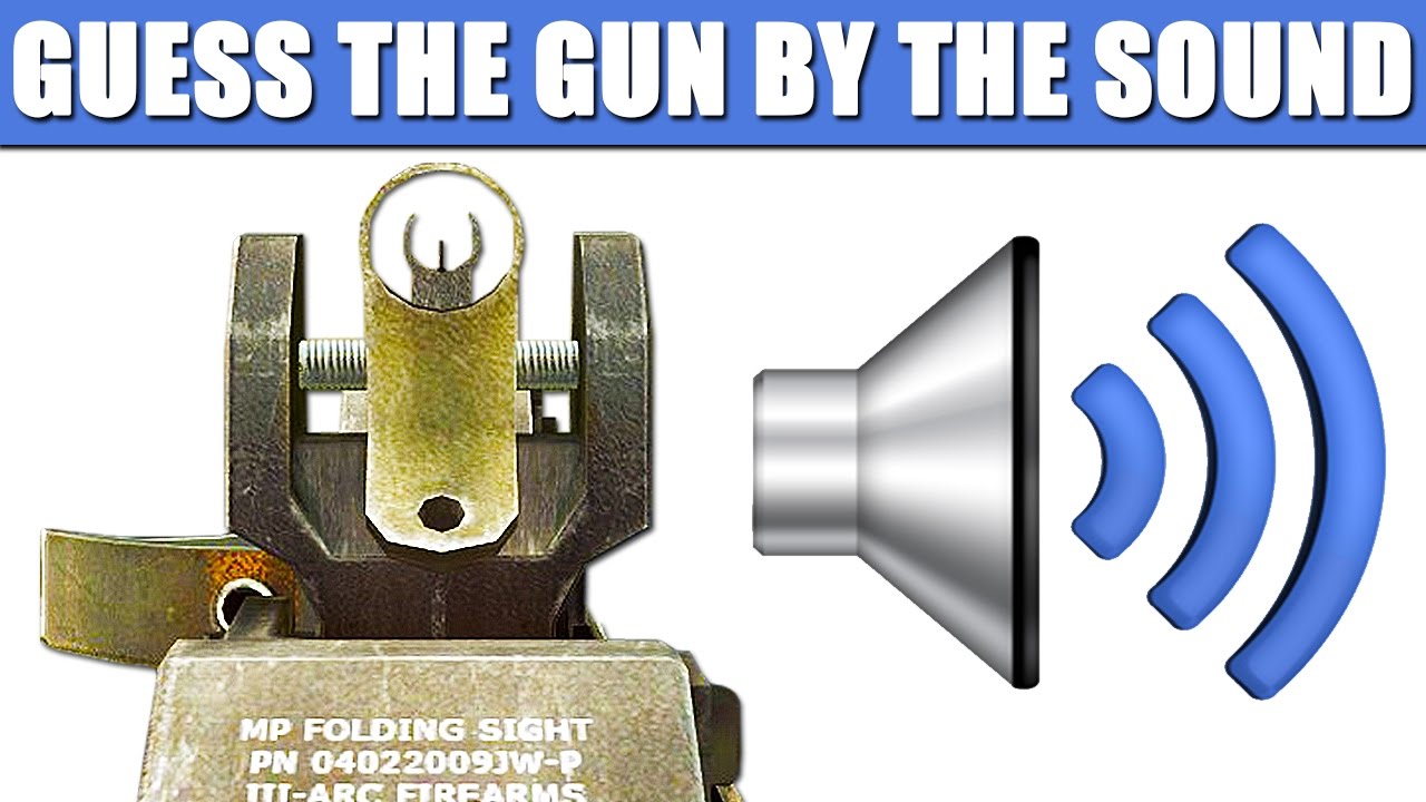 CALL OF DUTY "GUN SOUND" TEST | Chaos - YouTube