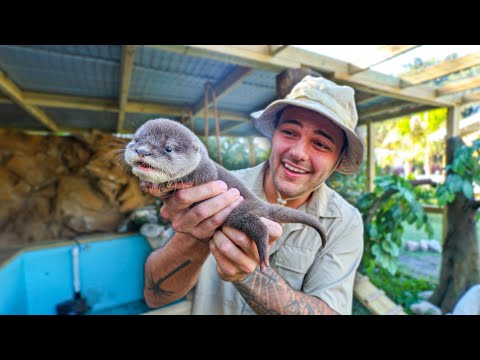 Welcome Home My BABY OTTER!!