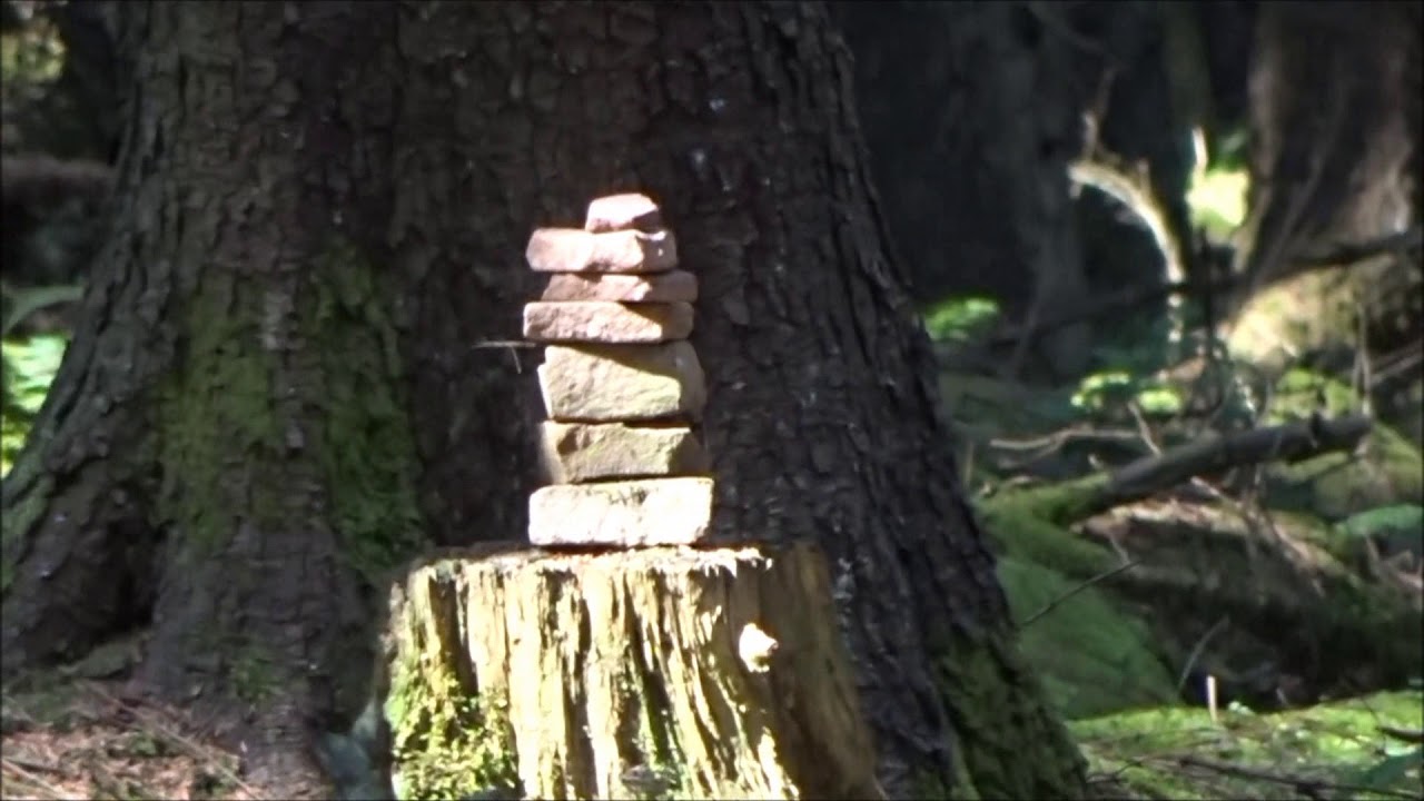 Rowberrow Hillfort & Warren Visit, Part VI, 'Inside the Warren' by ...