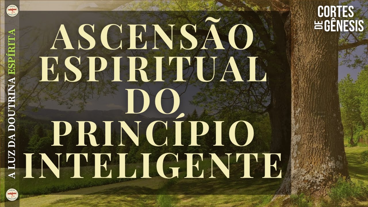 103 - A ASCENSÃO ESPIRITUAL DO PRINCÍPIO INTELIGENTE | TERCEIRO DIA DA ...