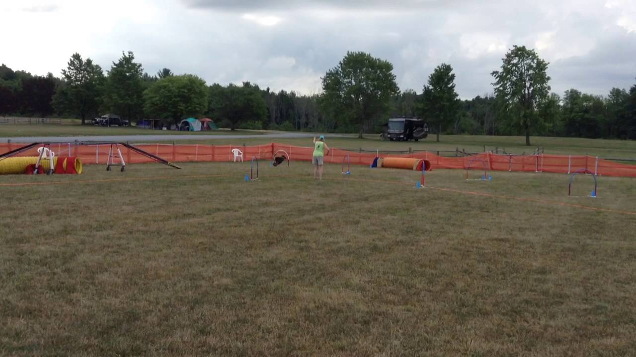 Kahlua NADAC Chances - YouTube