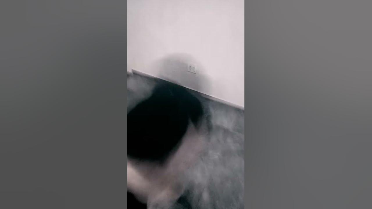 turma do huggy 💙🖤💗♥️ - YouTube