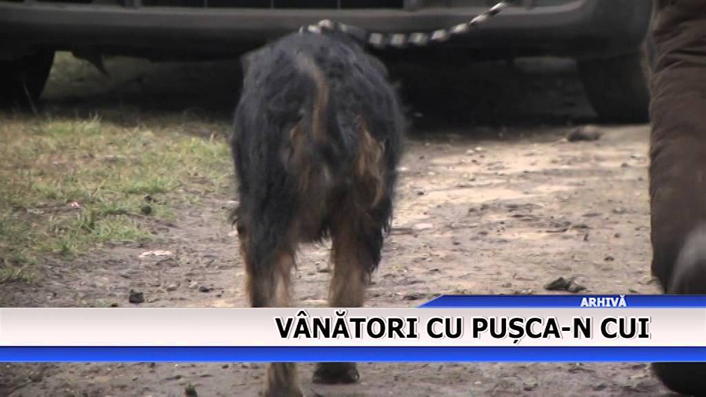 Vanatori cu pusca-n cui - YouTube
