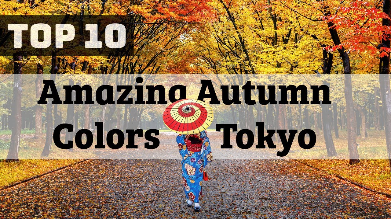 Tokyo's Best Autumn Color Spots - Ranked in 6 Minutes! │ 2023 Guide ...