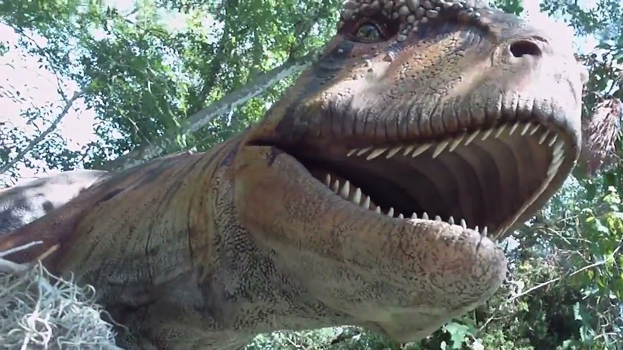 Free Stock Footage Angry Dinosaur 4 - YouTube