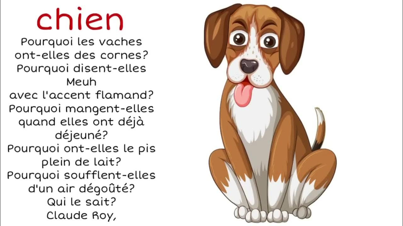 poésie de chien Cp CE1 CE2 #poésie - YouTube