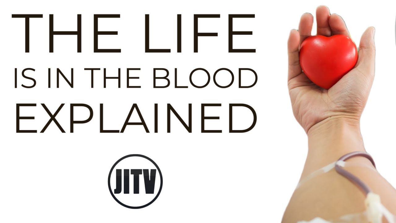 The Life is in the blood explained - YouTube