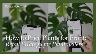 How to Price Plants for Profit – Retail Strategy for Plant Sellers